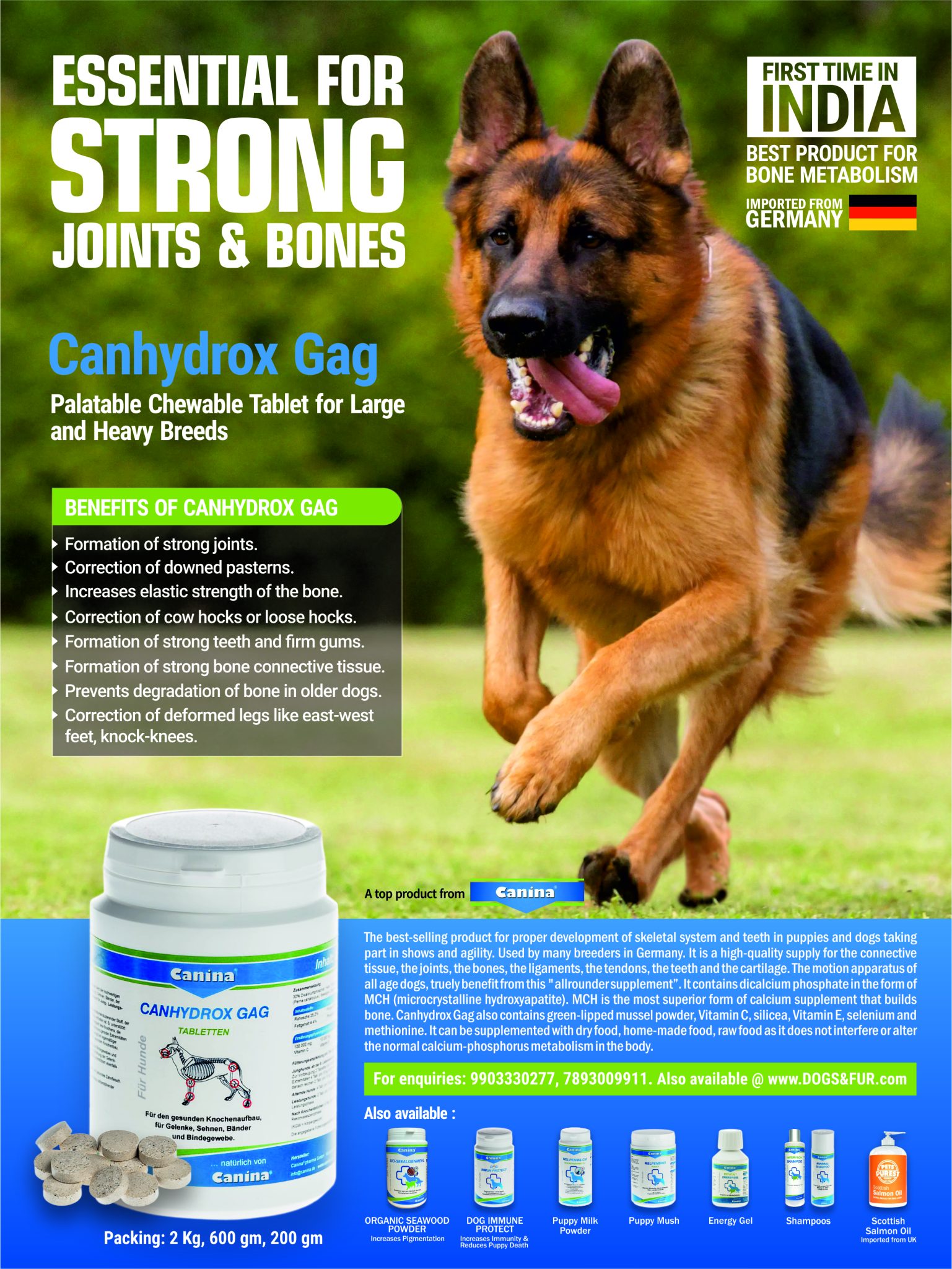 Cow Hocks in Dogs : From Slow Wobbly Walks to Fast Champion Runs ...