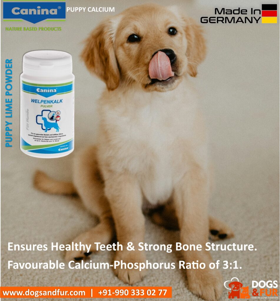 Canina PUPPY CALCIUM Tablet - Powers Growing Puppies | DogsandFur